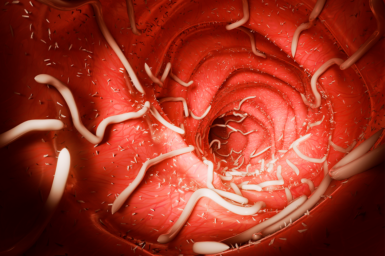 Enfermedades Parasitarias: Desafíos, Prevención y Tratamiento - Bago